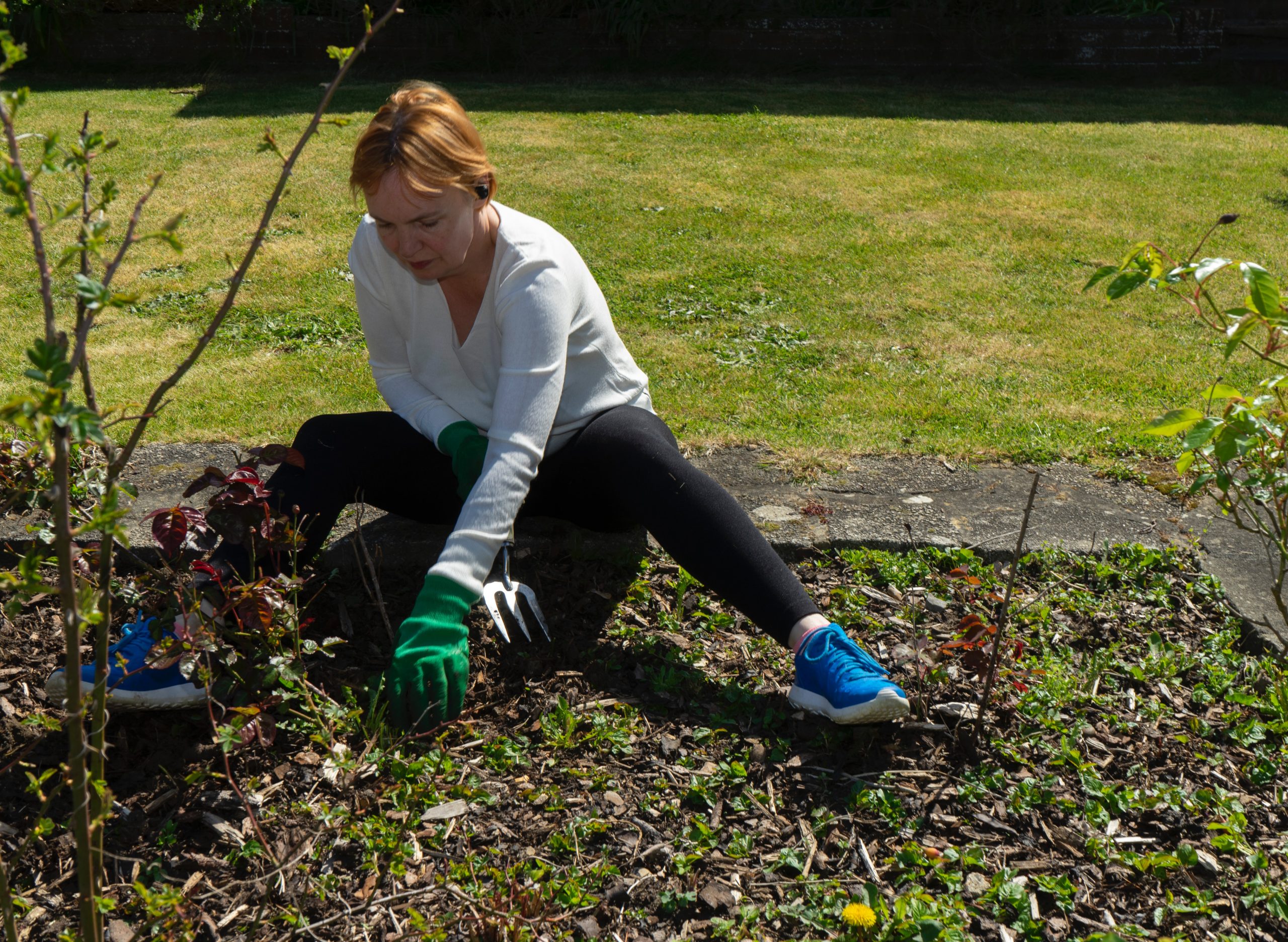 Selecting the Best Weeders: Guide to Home Gardening - The Dirt Doctors